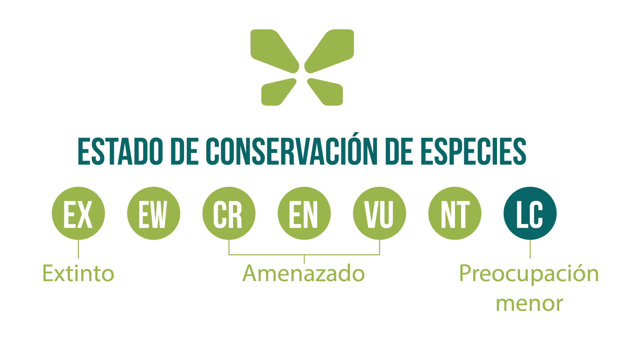 Todo Sobre el Cururo - Neoplagas Equilibrio Ambiental