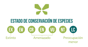 Todo Sobre el Cururo - Neoplagas Equilibrio Ambiental