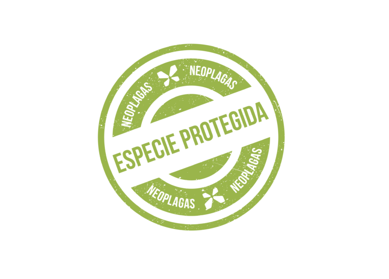 Todo Sobre el Cururo - Neoplagas Equilibrio Ambiental