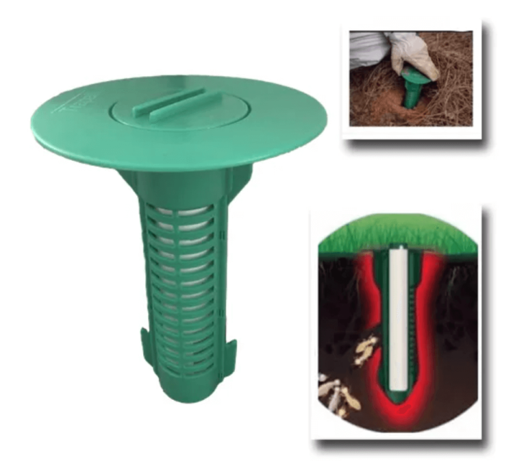 Cebo para Termitas- Lo que debes saber - Neoplagas Equilibrio Ambiental